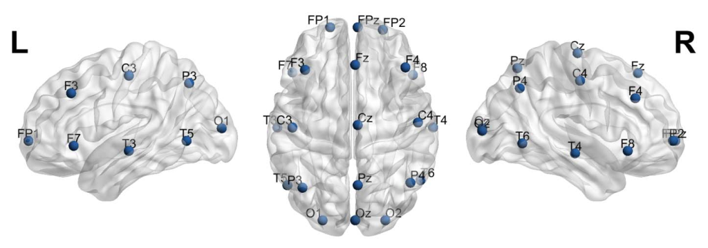 How Is YINGCHI Transcranial Magnetic Stimulation (TMS) Positioned ...