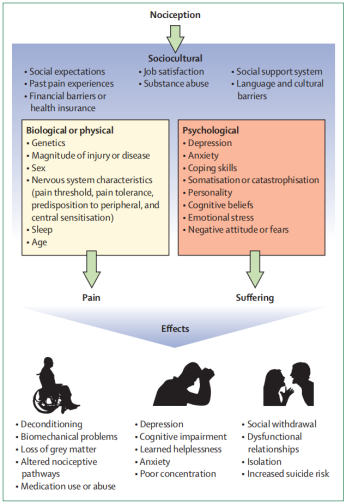 TMS for Chronic Pain - Advanced TMS Manufacturer