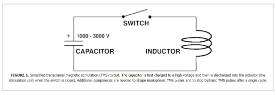 How Does TMS Work？ - Advanced TMS Manufacturer